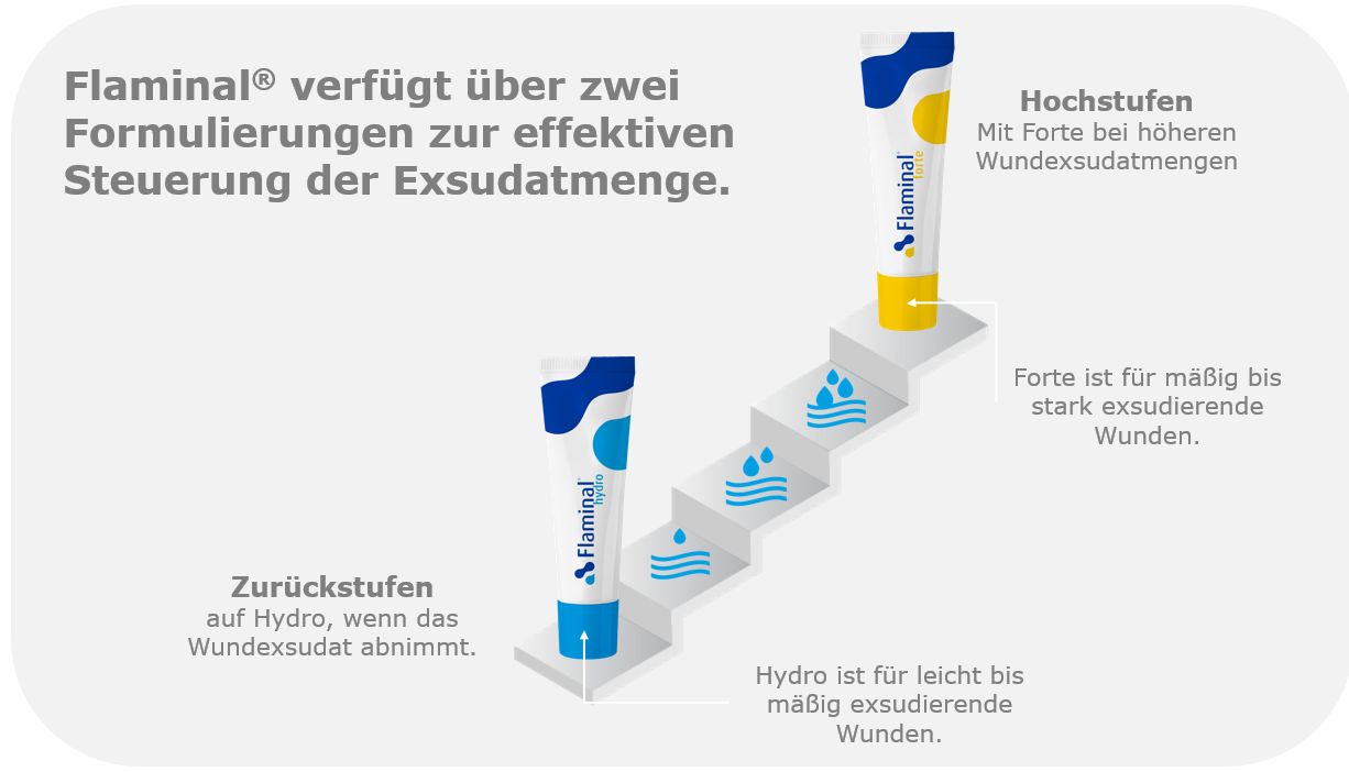 Flaminal® Einfache Anwendung - Für eine unkomplizierte Wundversorgung ...